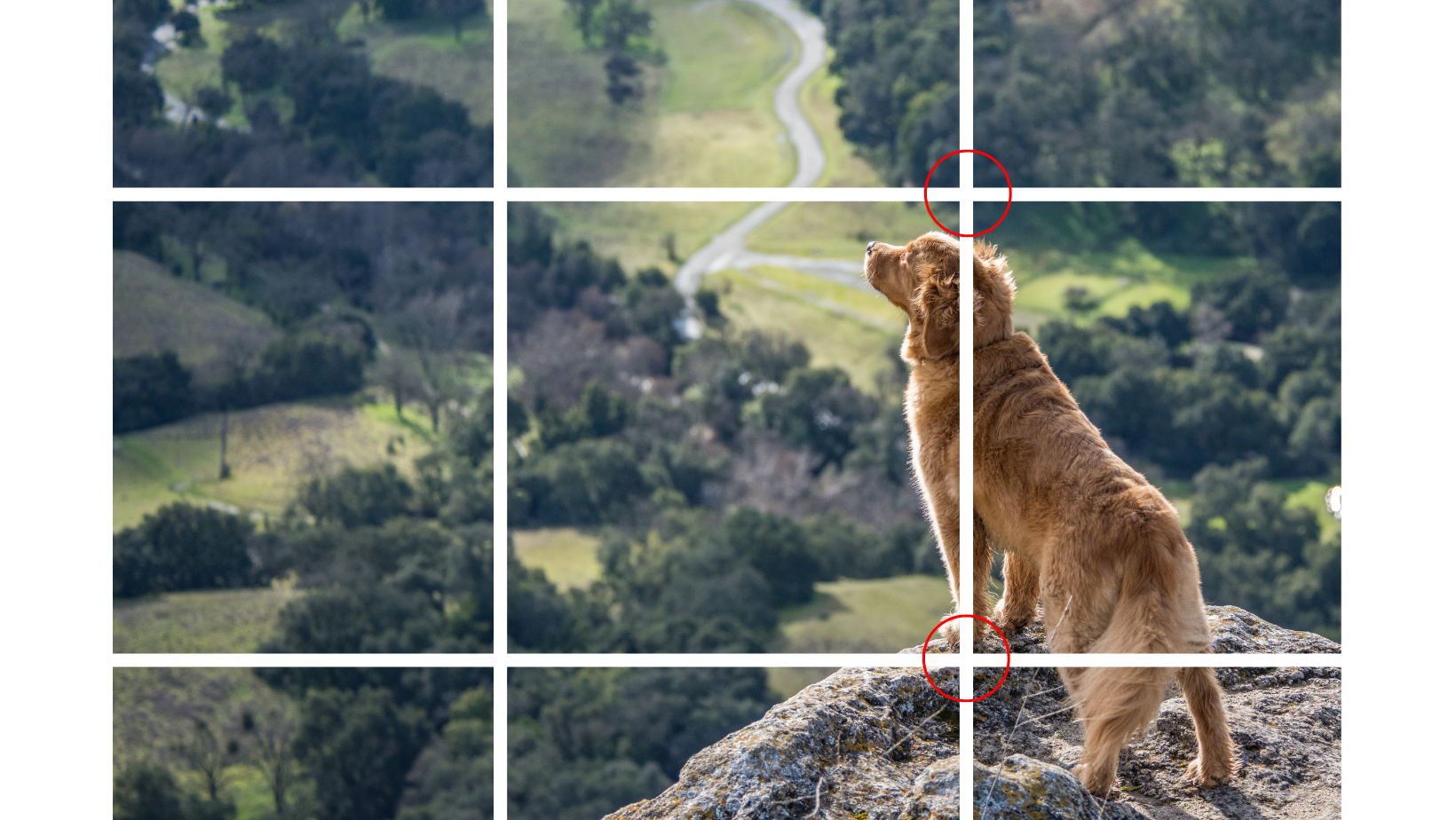 Layout & Composition in Design: 12 Rules to Follow │Simplified